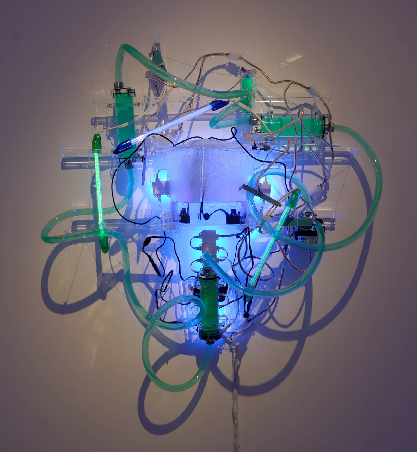 Adela Andea’s light installations reflect on organic and technological ...